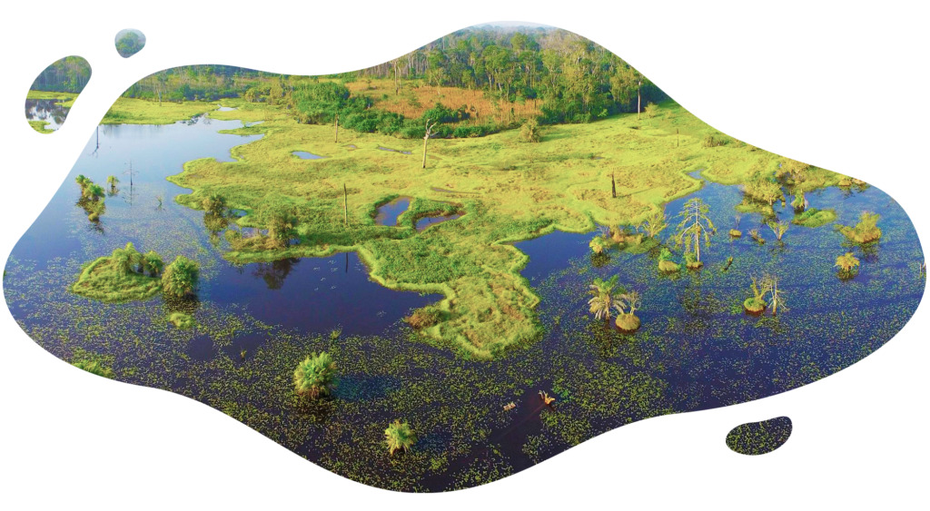 Contacts – Siat Group